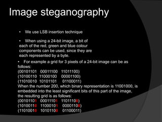 Steganography | PPTX