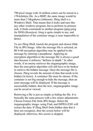 Steganography PDF | PDF | Information and Network Security | Computing