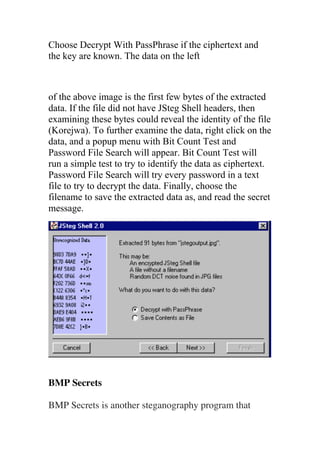 Steganography PDF | PDF | Information and Network Security | Computing
