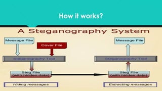 Steganography | PPT
