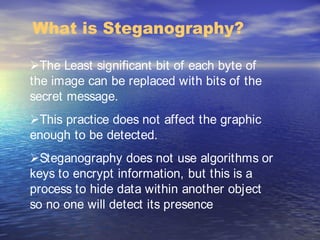 Steganography | PPT