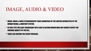 Steganography | PPTX