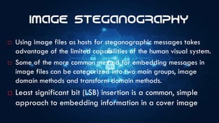 Presentation On Steganography | PDF