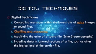Presentation On Steganography | PDF