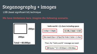 Steganography: LSB technique | PDF