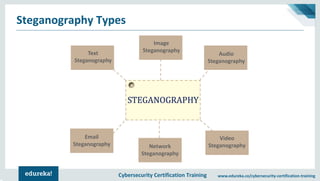 Steganography Tutorial | How To Hide Text Inside The Image ...