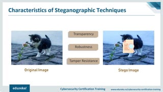 Steganography Tutorial | How To Hide Text Inside The Image | Cybersecurity Training | Edureka | PPT