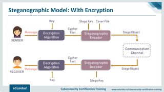 Steganography Tutorial | How To Hide Text Inside The Image ...