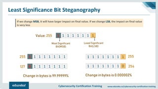 Steganography Tutorial | How To Hide Text Inside The Image | Cybersecurity Training | Edureka | PPT