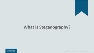 Steganography Tutorial | How To Hide Text Inside The Image ...