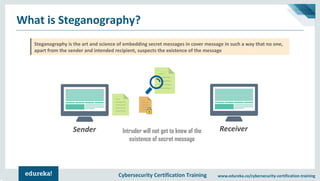 Steganography Tutorial | How To Hide Text Inside The Image | Cybersecurity Training | Edureka | PPT