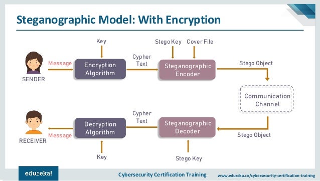 Steganography Tutorial | How To Hide Text Inside The Image | Cybersec…