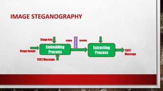 Steganography | PPT