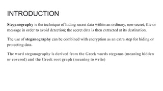 Steganography project powerpoint presentation.pdf