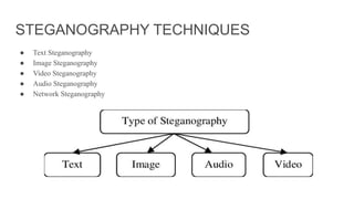 Steganography project powerpoint presentation.pdf