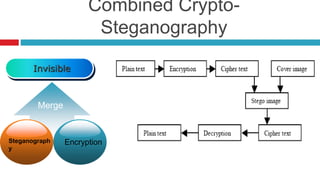 Steganography - Hiding in plain sight.pptx