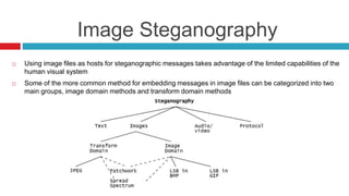 Steganography - Hiding in plain sight.pptx
