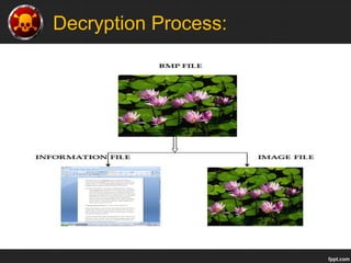 Steganography | PPT