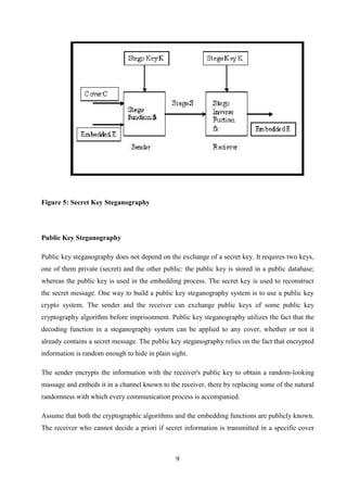 Steganography document | PDF