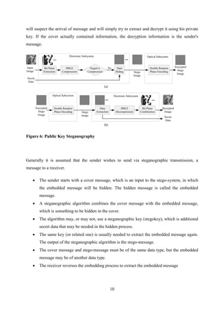 Steganography document | PDF