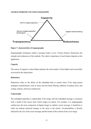 Steganography document | PDF