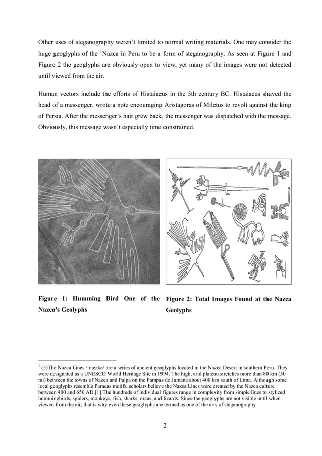 Steganography document | PDF