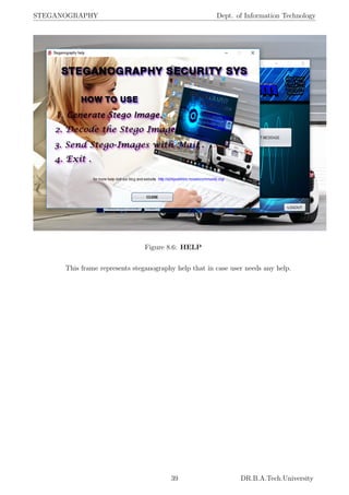 Steganography final report | PDF