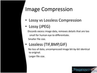 SteganographyonImage.ppt