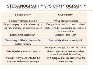 Steganography ppt.ppt
