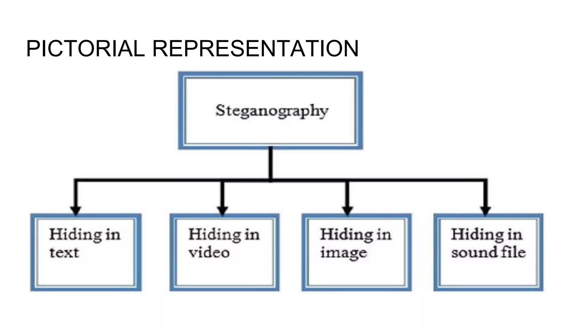 Steganography Project.pptx