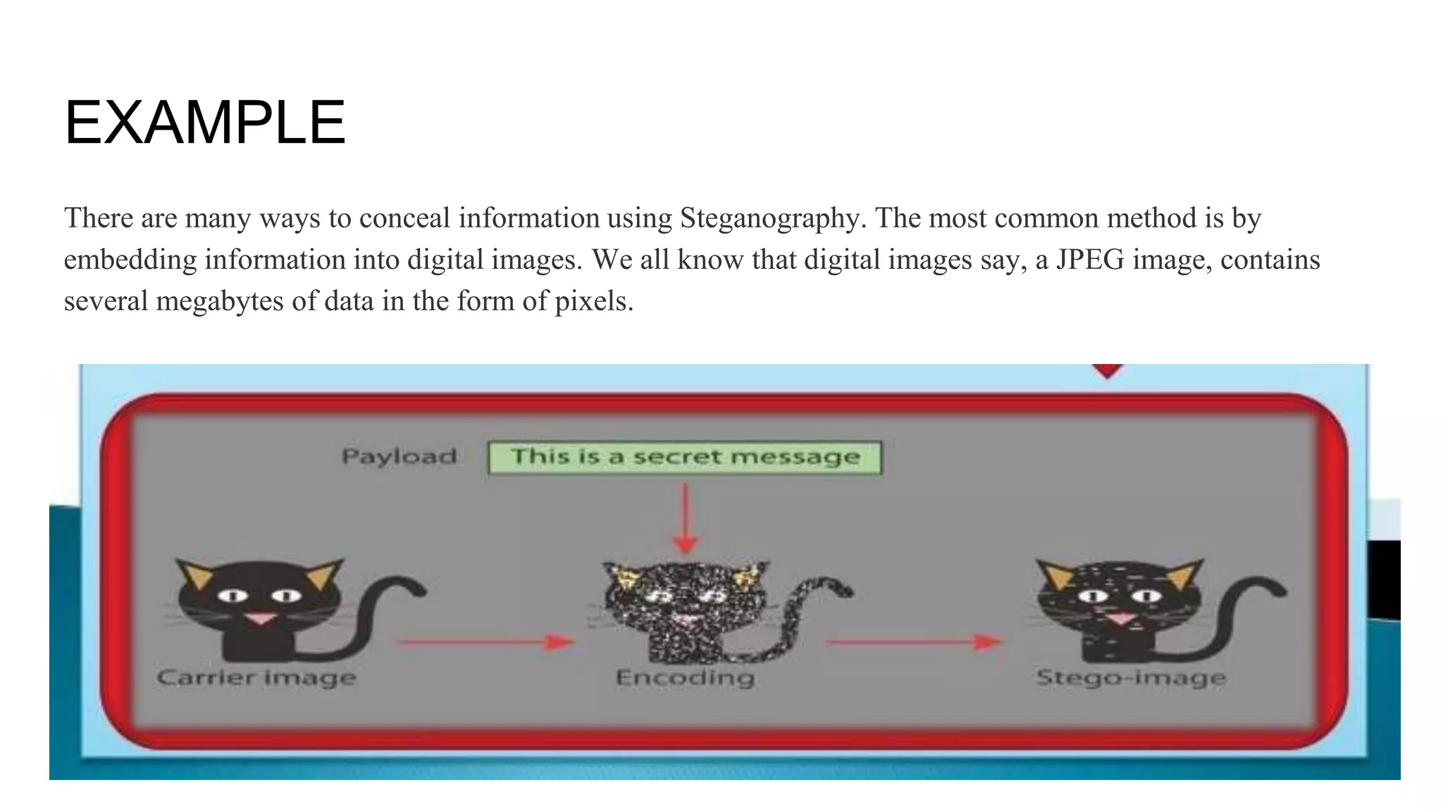 Steganography Project.pptx