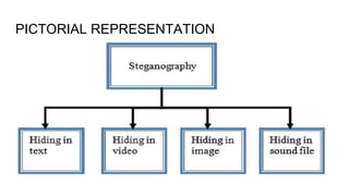 Steganography Project.pptx