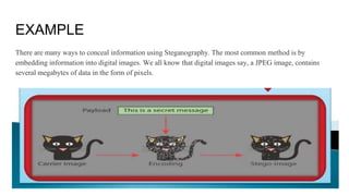 Steganography Project.pptx