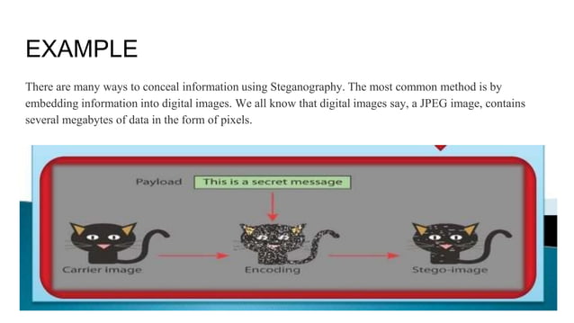 Steganography Project.pptx