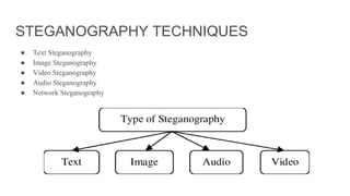 Steganography Project.pptx