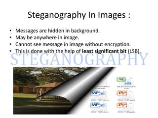 Steganography | PPTX