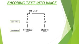STEGANOGRAPHY Seminar (1).pptx