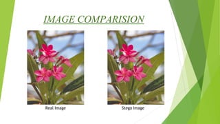 STEGANOGRAPHY Seminar (1).pptx