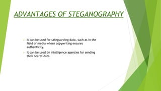 STEGANOGRAPHY Seminar (1).pptx