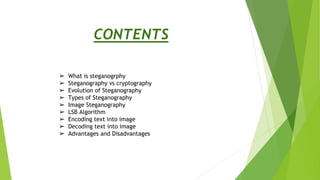 STEGANOGRAPHY Seminar (1).pptx
