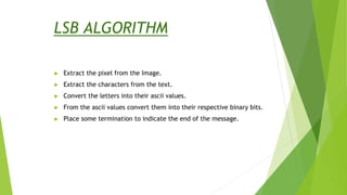 STEGANOGRAPHY Seminar (1).pptx