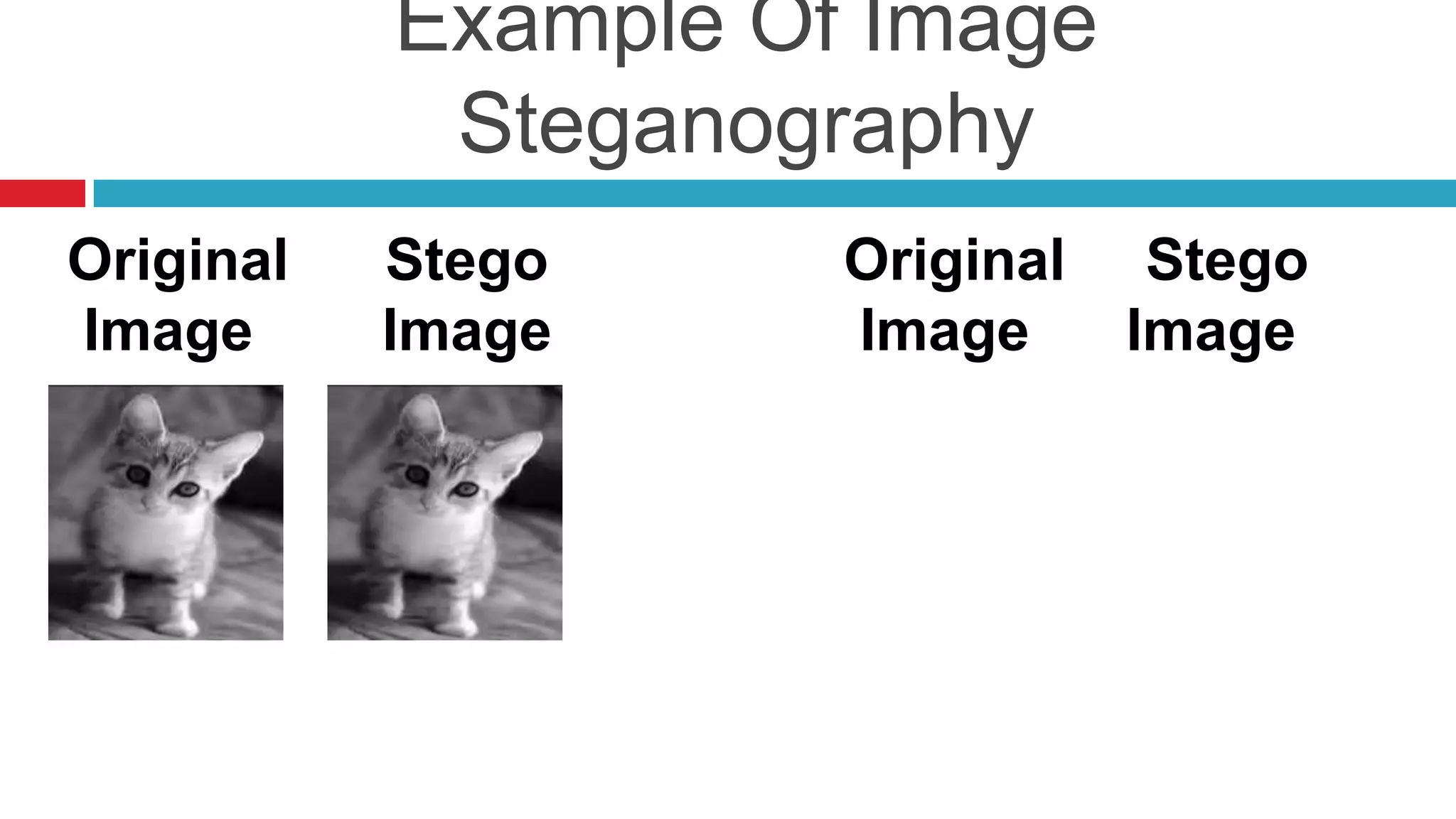 Steganography | PPTX