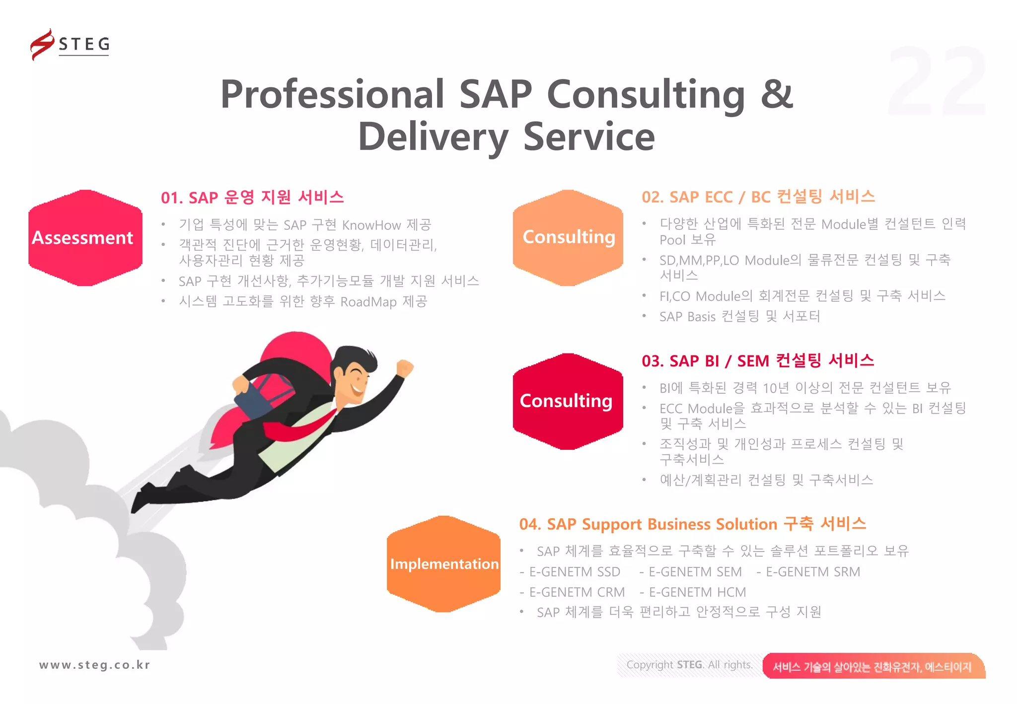 STEG Company Introduction | PDF