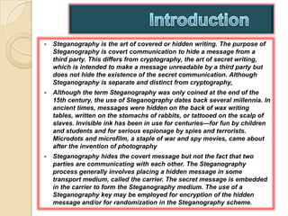 Stegnography final | PPTX | Computing | Technology & Computing