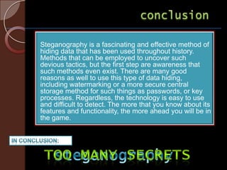 Stegnography final | PPTX | Computing | Technology & Computing