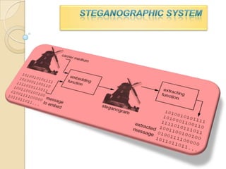 Stegnography final | PPTX | Computing | Technology & Computing