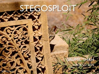 Stegosploit - Hack.LU 2015 | PPT