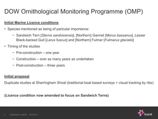#8/9 Bird monitoring at Dugeon offshore windfarm | PPT