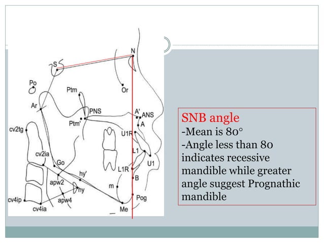 Steiner analysis | PPTX | Dental Health | Diseases and Conditions