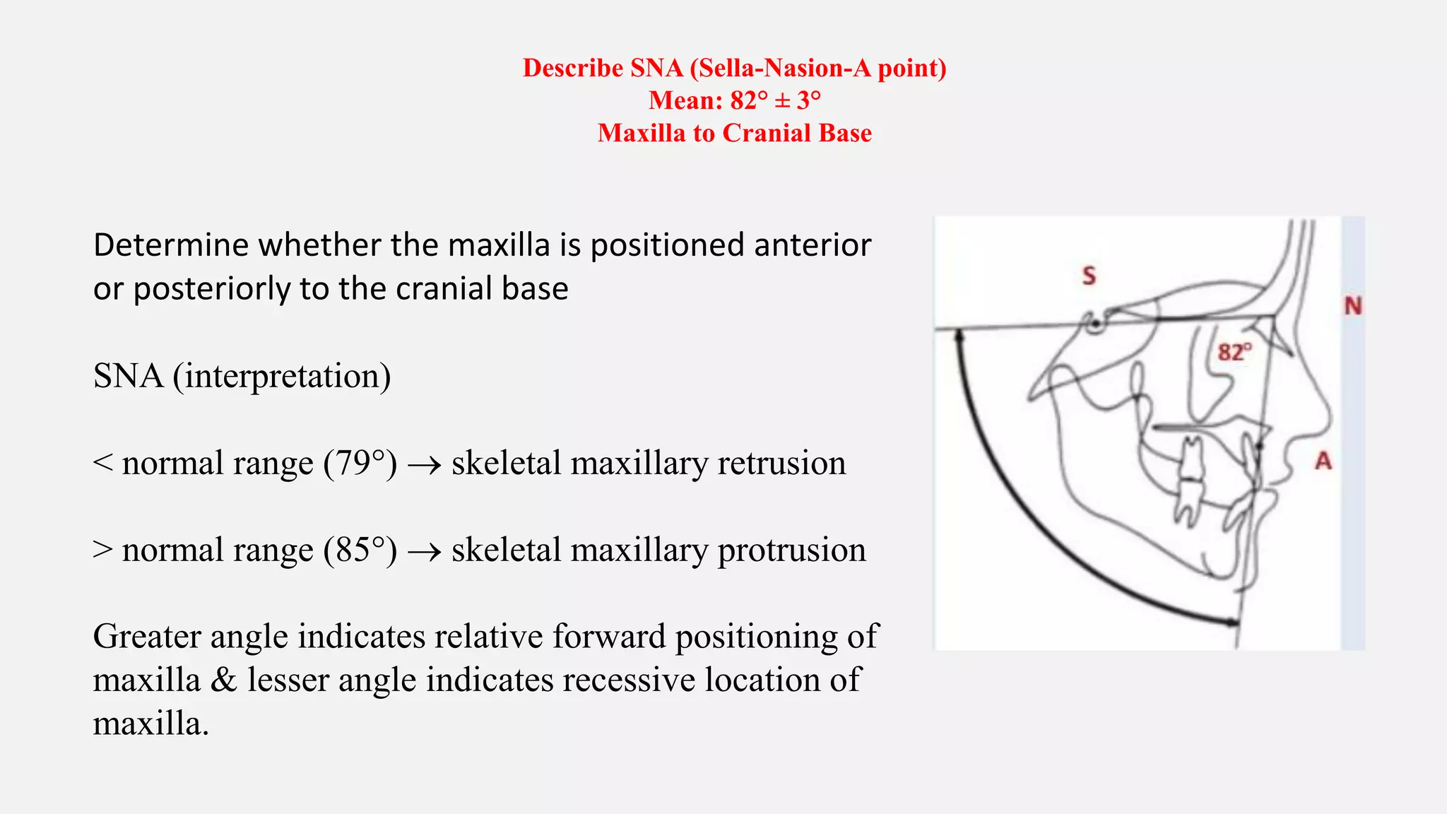 Steiner analysis in orthodontics (Nay Aung, PhD).pdf